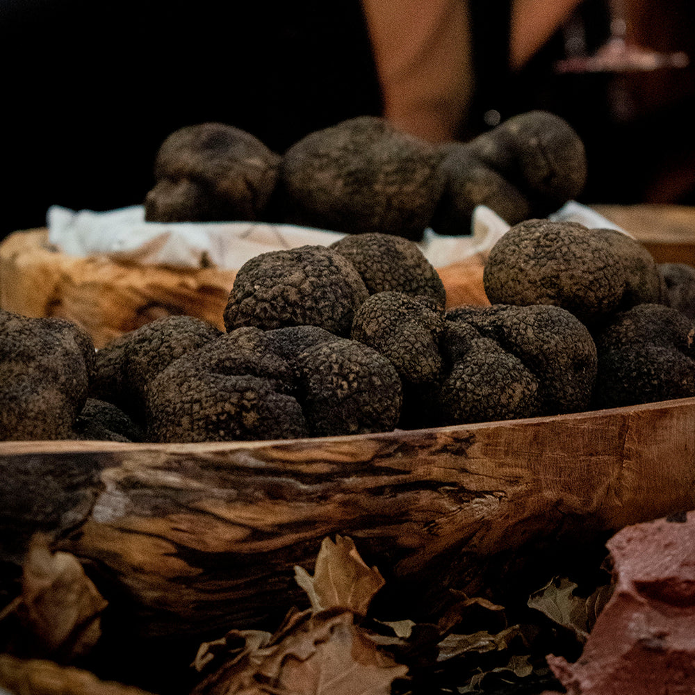 TRUFA NEGRA (tuber melanosporum)
